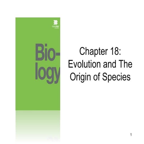 Ch.18 lecture presentation | PPT