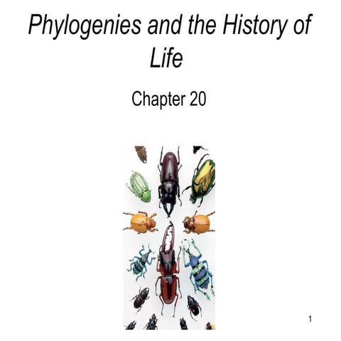 Ch.20 lecture presentation1 | PPT | Biological Sciences | Science