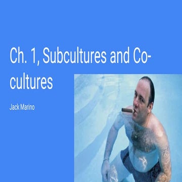 Ch.1 subcultures & co cultures | PPTX