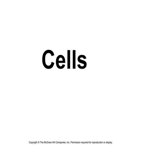Ch. 3 Cells.ppt | Biological Sciences | Science