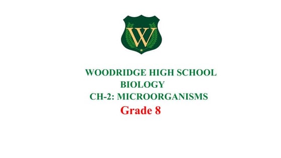 Microorganisms Class 8 | PPT