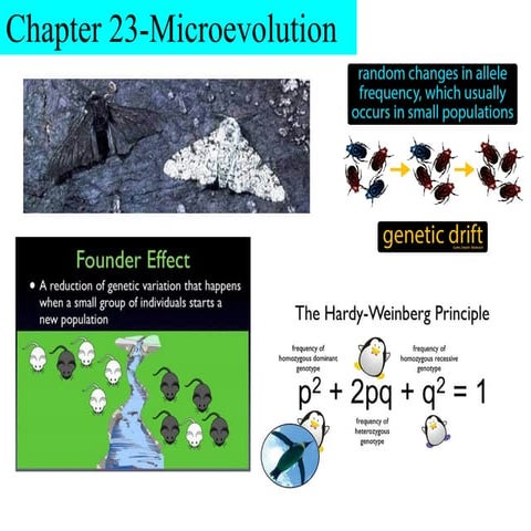 Ch._23_Evolution_in_a_Population(microevolution).ppt.pdf