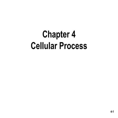 Chapter 4 - Cellular Processes in the Cell.ppt