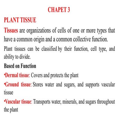 plant Morphology and anatomy ppt handout | PPTX