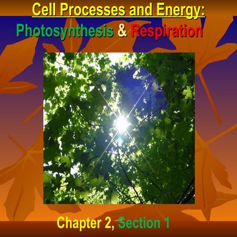 Ch.2, sec.1&2, cell energy-photosynthesis-respiration | PPT