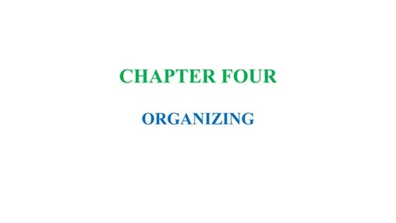 The Nature of Organization ppt | PPTX | Business | Business and Finance
