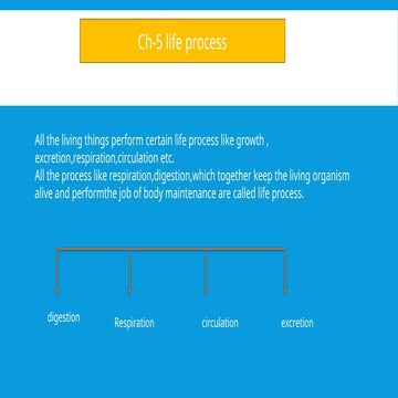 Life Processes Class 10th PPT | PPTX