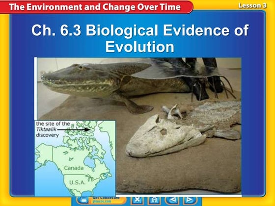 Evo evidence 16_4_part2 | PPT | Geology | Science