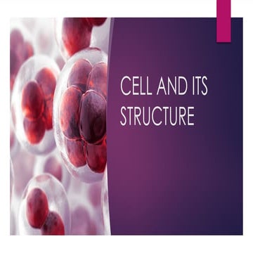 Ch - 8 Cell - Structure and Functions.pptx