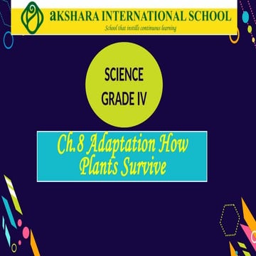 Class IV Science -Plants Adaptation | PPTX