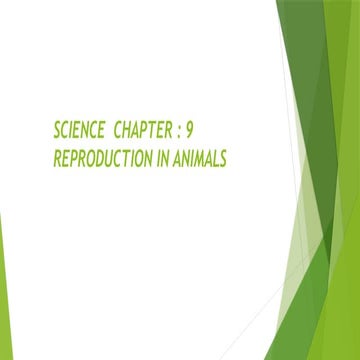 Ch - 9 Reproduction in Animals cLASS .pptx