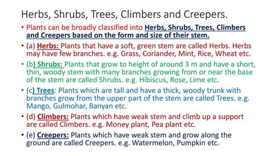 monocot_vs_dicot.ppt presentation on types of seed | PPT