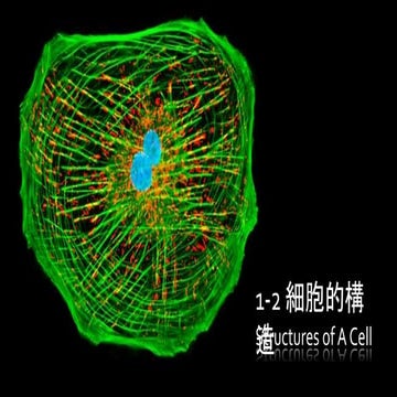 Ch01_2 細胞的構造 | PPTX