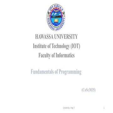 CH01_Fundamentals of Programming.pdf for bsc | PDF