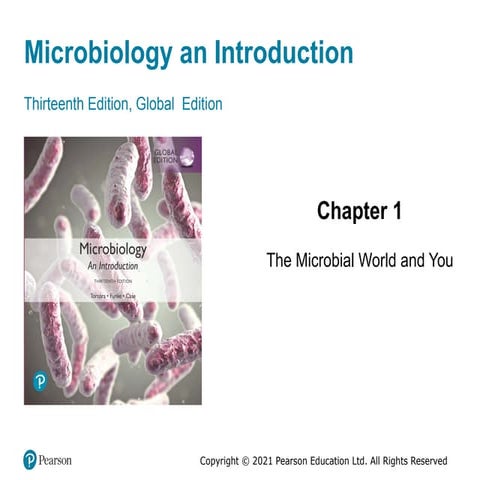description of the microbial world and its interaction with the other ...