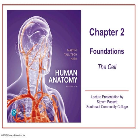 Foundations - The Cell - Human anatomy Martini | PDF