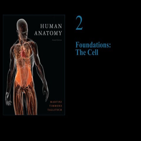 Ch02lecturepresentation 140913123230-phpapp02 | PPT