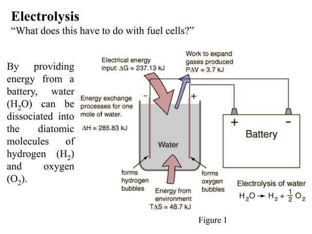 Fuel cells | PPTX