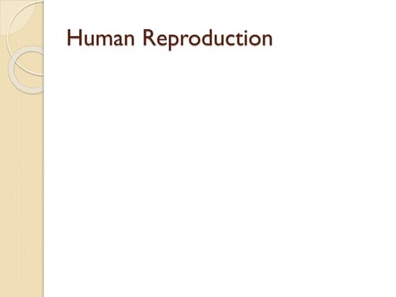 REPRODUCTIVE SYSTEM.pdf