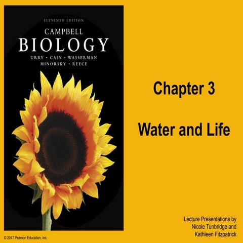 Ch03_Accessible_Lecture_Presentation.pptx