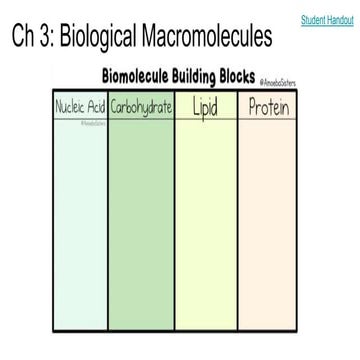 quarter 1 Physical Science: Biological Macromolecules.pptx