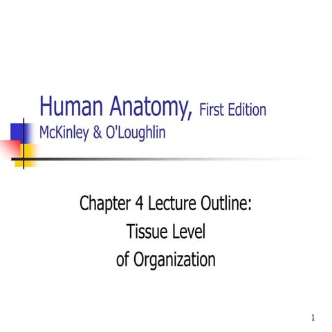 Histology: Tissues | PPT