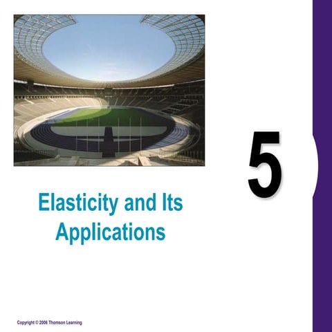 ch05 Elasticity and Its Applications.ppt