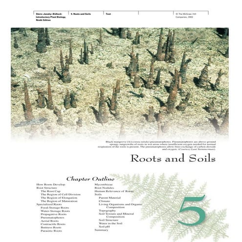 PRIMARY PLANT BODY (root, stem & leaves) | PPTX