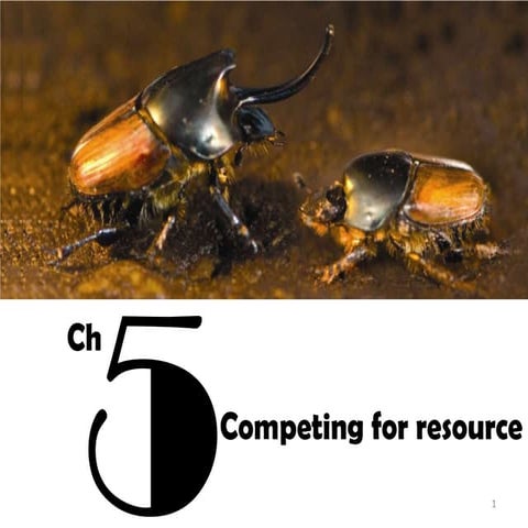 Ch05 competing for resource | PPT
