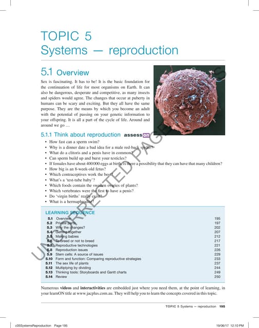 human reproduction systems elementary school | PPTX