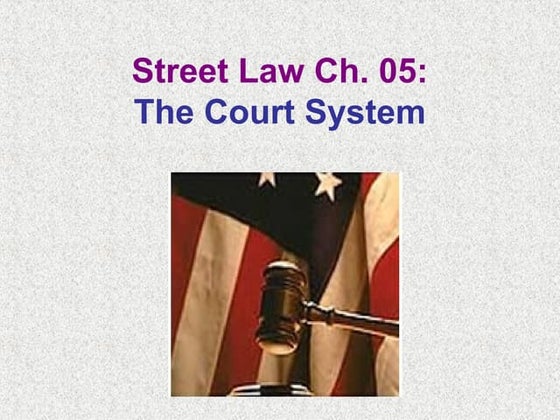 Ch 5 the court system | PDF