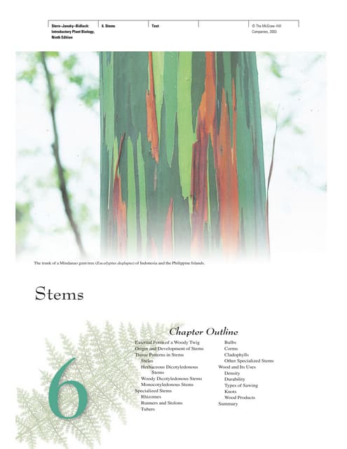 Lab 5- Stems 1- Examine the woody dicot twig provided- Note at the tip ...