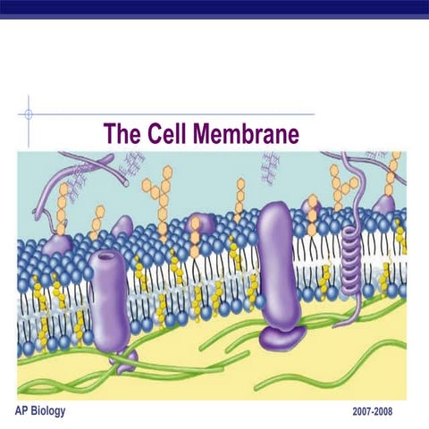 Cell Membrane | PPT