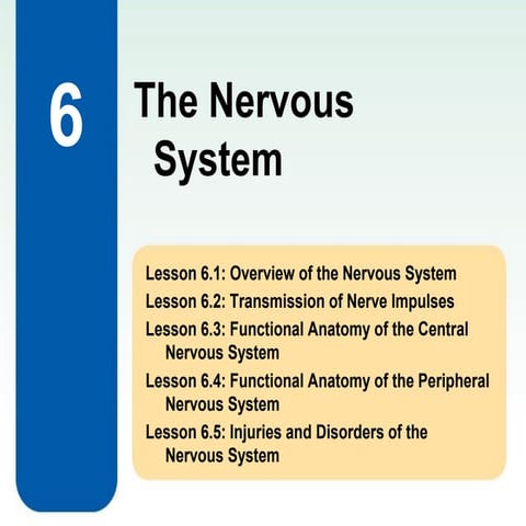 Ch 06 PPT student presentation.pdf | Brain and Nervous System Disorders | Diseases and Conditions