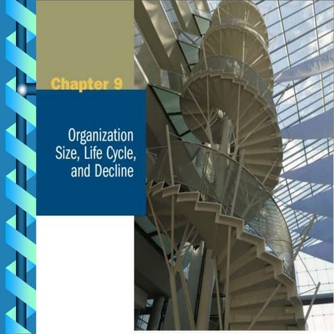 Organization size, life cycle and decline.ppt