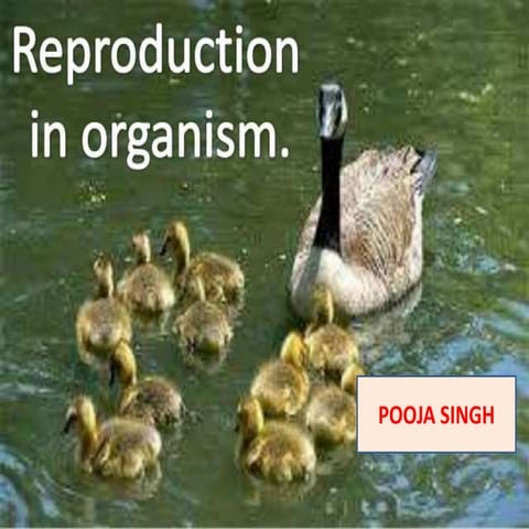Reproduction in organisms | PPTX