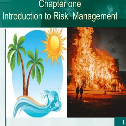 Introduction to risk management for economic | PPT