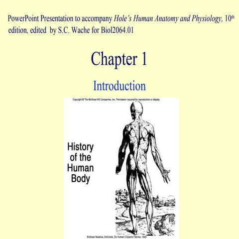 Ch1 Ppt Lect 1[1] | PPT
