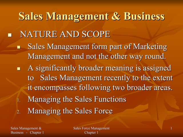 Salesforce Sales Cycle Management Framework | PDF