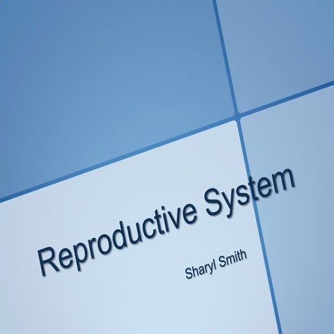Ch 10 Presentation | PPTX | Menopause | Endocrine and Metabolic Diseases