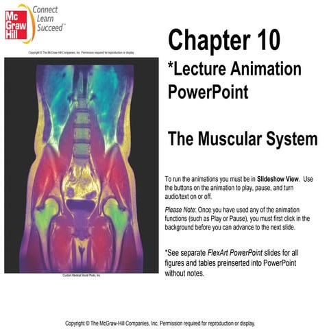 Ch 10 The Muscular System | PPT