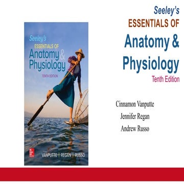 Anatomy & Physiology Lecture Notes - Blood | PPT
