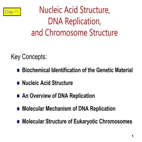 Ch11lectureppt Revisedppt 0434