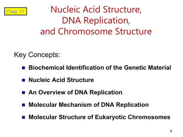 Ch11lectureppt Revisedppt 0434