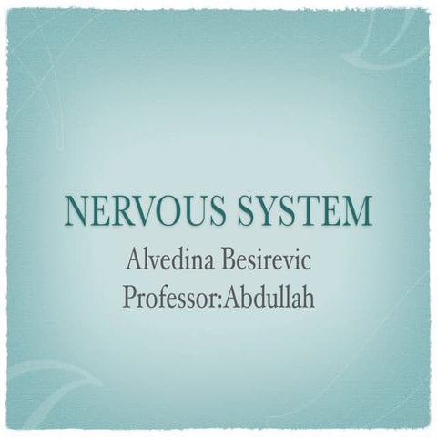 Nervous System Presentation | KEY