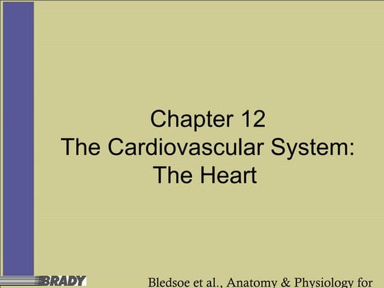 Comparative anatomy circulatory system | PPT | Blood Disorders ...