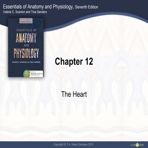 Ch12 - Heart | PPT