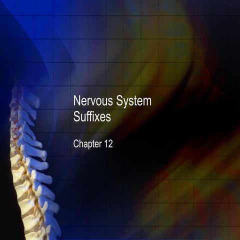 Ch 12 nervous system | PPT