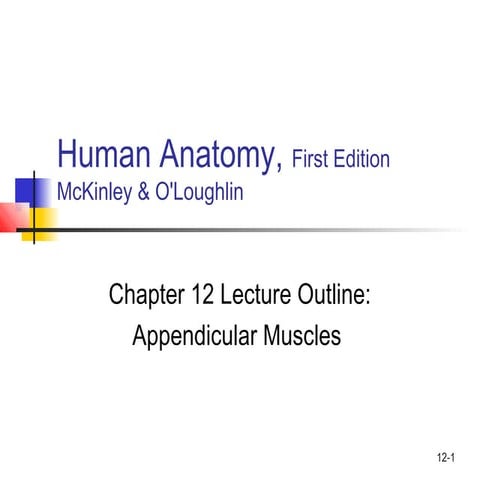 Appendicular muscles | PPT