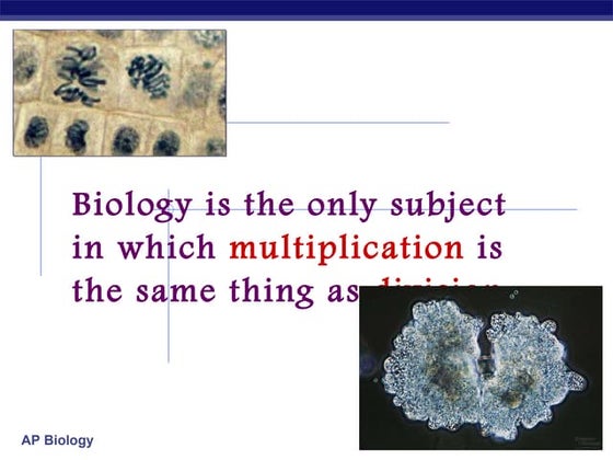 MITOSIS: LIFE SCIENCES FOR GRADE 10`S | PPTX | Biological Sciences ...